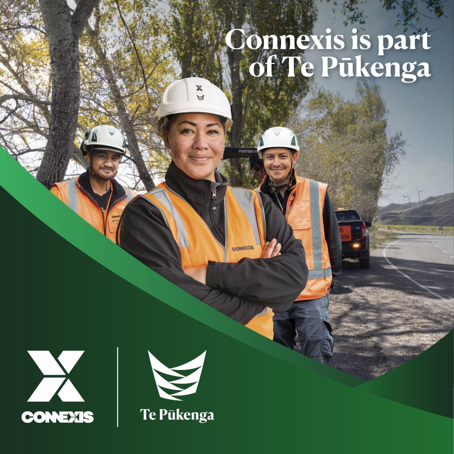 Connexis officially part of Te Pūkenga » Connexis | Infrastructure Training